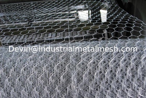 Hexagonal Wire Mesh/Chicken Wire Mesh/Bird Aviaries supplier