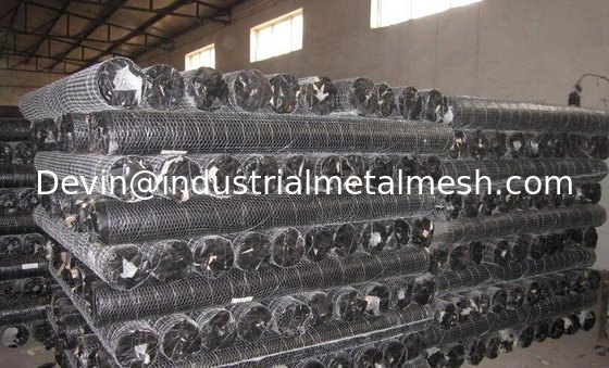 Hexagonal Wire Mesh/Chicken Wire Mesh/Bird Aviaries supplier