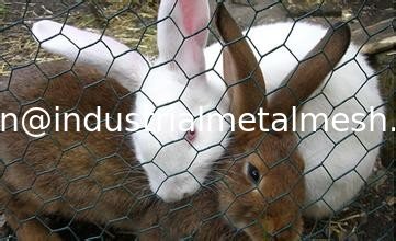 hot sale galvanized or pvc coated chicken wire/Double Twisted Hexagonal Wire Mesh (Factory) supplier