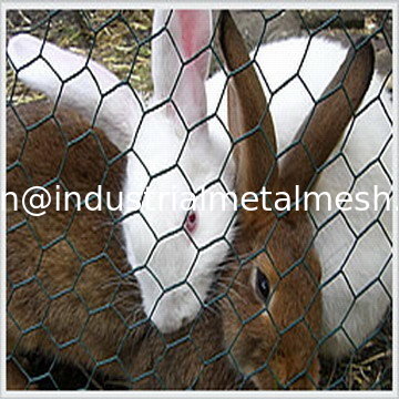 hot sale galvanized or pvc coated chicken wire/Double Twisted Hexagonal Wire Mesh (Factory) supplier