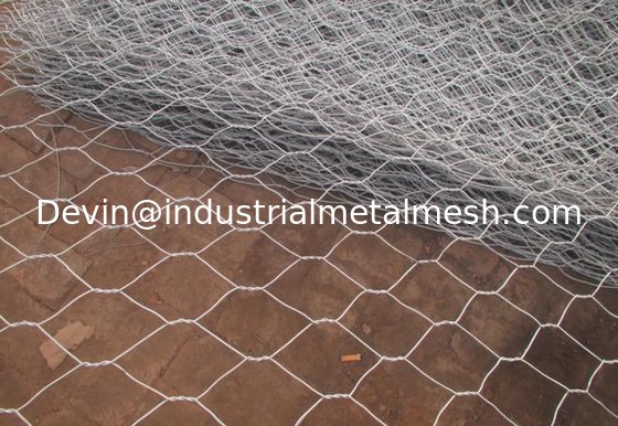 hot sale galvanized or pvc coated chicken wire/Double Twisted Hexagonal Wire Mesh (Factory) supplier
