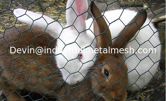 Galvanized/PVC hexagonal wire mesh for cattle,horse, sheep,poutry and other animal and poutry fence supplier