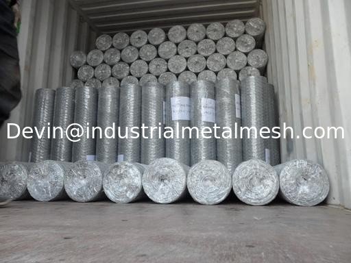 Chicken coop iron wire fence/Hot sale galvanized hexagonal wire mesh/1/2 inch chicken wire supplier
