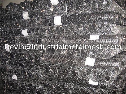 Chicken coop iron wire fence/Hot sale galvanized hexagonal wire mesh/1/2 inch chicken wire supplier