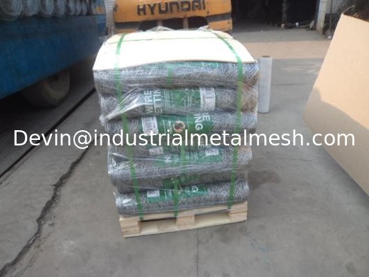 chicken wire mesh & hexagonal wire mesh for rabbit supplier