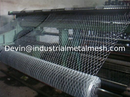 Shipping 3/8" Chicken Wire Fencing Galvanized and PVC Coated supplier