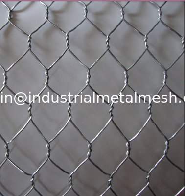 Shipping 3/8" Chicken Wire Fencing Galvanized and PVC Coated supplier