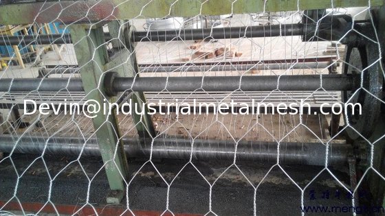 Shipping 3/8" Chicken Wire Fencing Galvanized and PVC Coated supplier