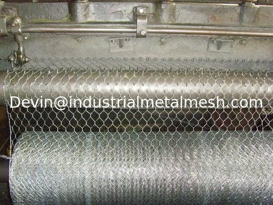 Chicken coop hexagonal wire mesh fence supplier
