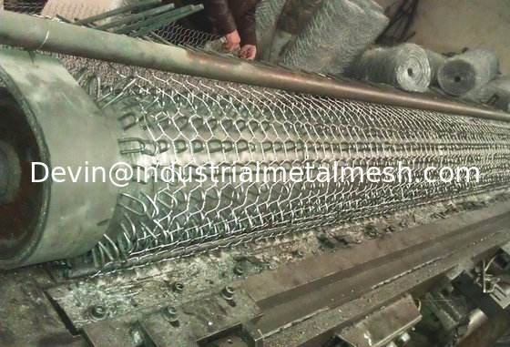 chicken fence / Holland Wire Mesh / Garden fence supplier