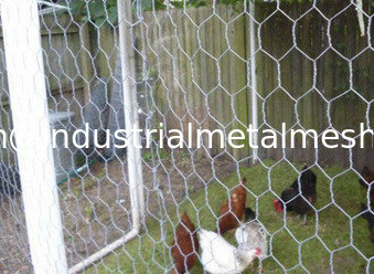 High quality hexagonal 1/2 inch chicken wire netting / stainless steel stucco hexagonal wire mesh to reinforce concrete supplier