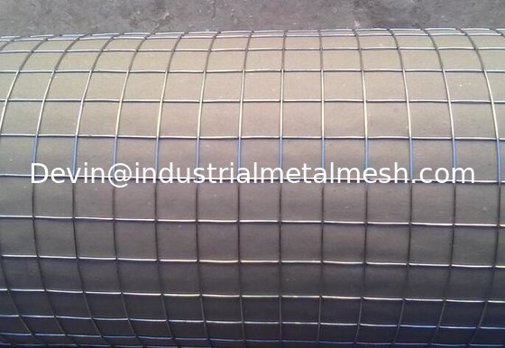 price galvanized welded iron wire mesh with Australia quality supplier