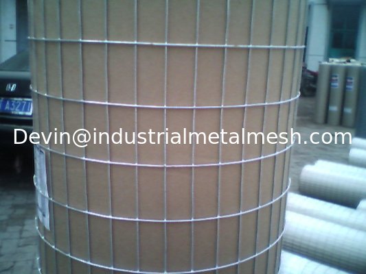 best price pvc coated welded wire mesh panels for rabbit cage supplier