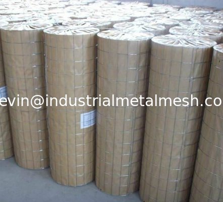 China lowest price heavy galvanized welded wire mesh for agricultural supplier