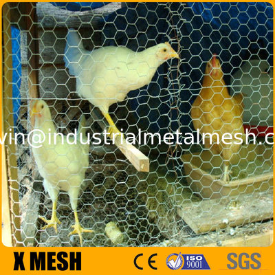 Hexagonal wire mesh, chicken poultry farms fence supplier