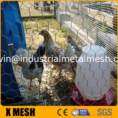 galvanized hexagonal wire mesh/ chicken wire / PVC coated chicken fence supplier
