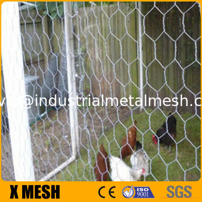 galvanized hexagonal wire mesh/ chicken wire / PVC coated chicken fence supplier