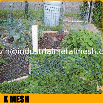 High Quality Hexagonal Chicken Wire Mesh Supplier@ Chicken Coop Hexagonal Wire Mesh For Sale supplier