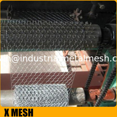 Galvanized Hexagonal wire netting/Hexagonal wire mesh/Chicken wire mesh supplier