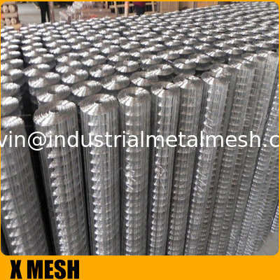 1/2 Inch Plastic Coated Welded Wire Mesh supplier