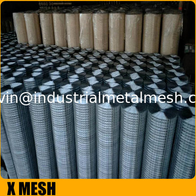 high quality Welded wire mesh/galvanized welded wire mesh and pvc coated welded wire mesh/iron wire mesh supplier