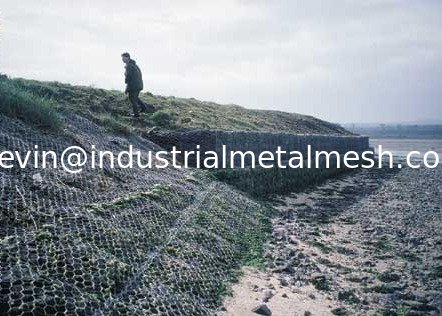 Wire Mesh Gabion Basket And Gavion Box From Factory For Hot Sale supplier