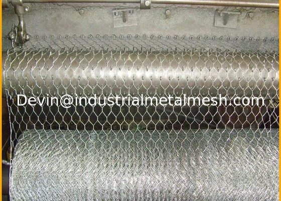 Hexagonal Wire Mesh White Plastic Chicken Wire Fence supplier