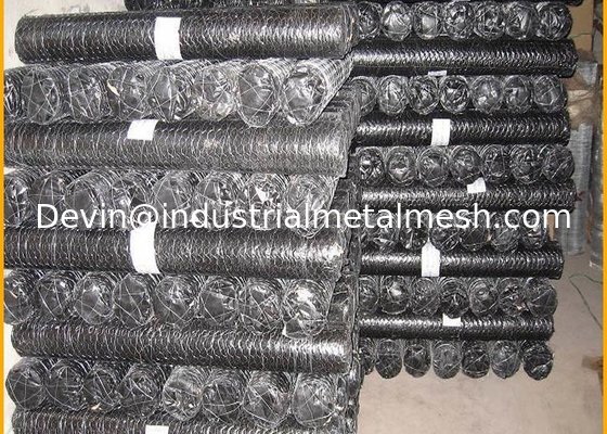 Hexagonal Wire Mesh White Plastic Chicken Wire Fence supplier