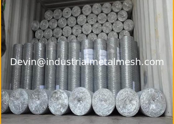 Hexagonal Wire Mesh White Plastic Chicken Wire Fence supplier