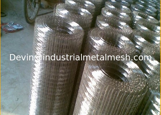 Hot Dipped Galvanized Welded Wire Mesh 200gsm supplier