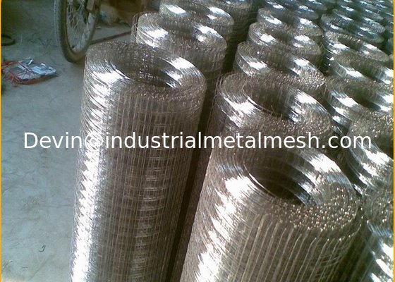 Excellent Oxidation Resistant 304 310 316 Stainless Steel Welded Wire Mesh supplier