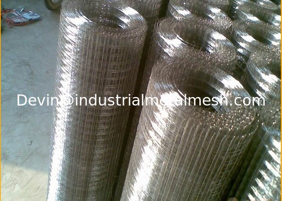 High Quality 2x4 Welded Wire Mesh For Roofing supplier