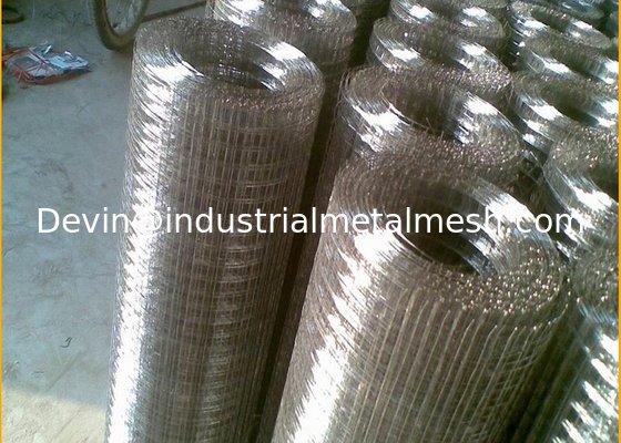 1/2" X 1/2" Square Hole Welded Wire Mesh supplier