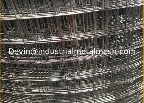 1/2" X 1/2" Square Hole Welded Wire Mesh supplier