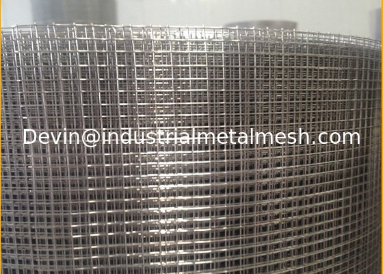 1/2" X 1/2" Square Hole Welded Wire Mesh supplier