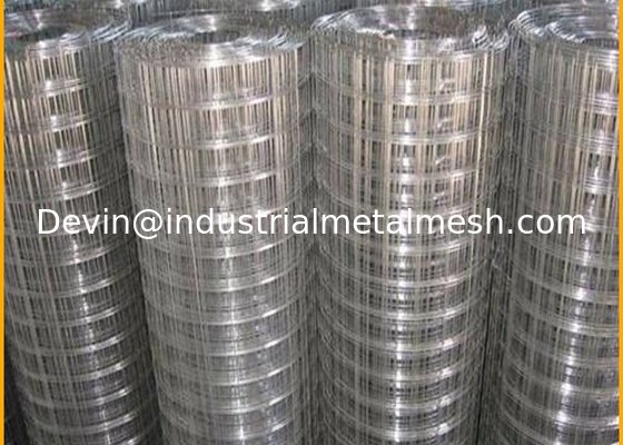 Aisi 304 1/2 Inch Stainless Steel Welded Wire Mesh supplier