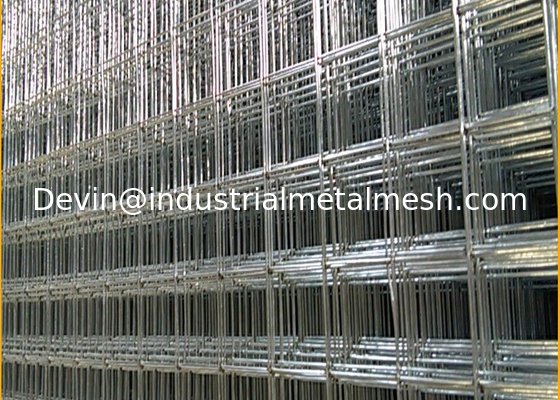 1/2" X 1/2" Pvc Coated Welded Wire Mesh Low Price supplier