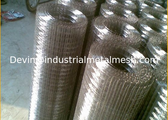 1/2" X 1/2" Pvc Coated Welded Wire Mesh Low Price supplier