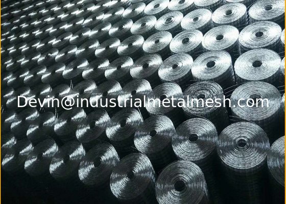 China Wholesale Professional Manufacture 1 Inch Pvc Coaed Welded Wire Mesh supplier
