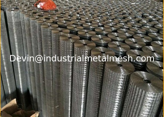 Diy Anti Mouse Cages-Galvanized Steel  Welded Wire Mesh-1/2 Inch Hole Size supplier