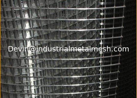Low Price Welded Wire Mesh/ Galvanized Welded Wire Mesh/ Pvc Coated Wire Mesh Fence Supplier supplier