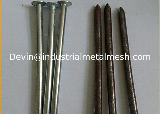 1-6inches Galvanized Steel Material Wood Nails & Screws In White, Black, Golden Color supplier