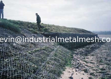 Best Price! Galvanized Pvc Coated Gabion Basket/ Gabion Box/ Galfan Gabion supplier