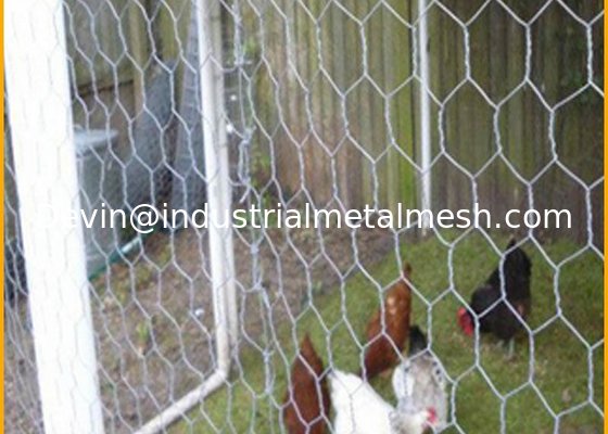 Chicken Coop Hexagonal Wire Mesh Fence/ Pvc Coated Hexagonal Wire Mesh supplier