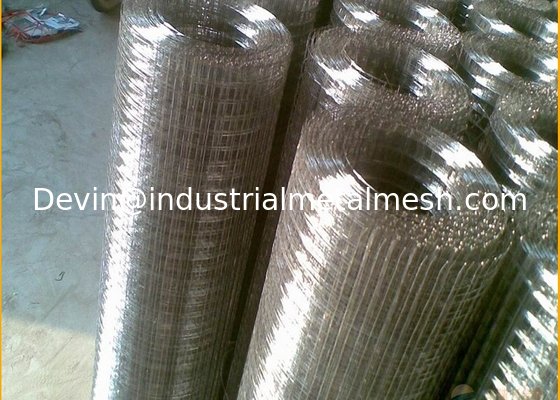 Welded Wir Emesh Fence/4x4 Welded Wire Mesh Fence supplier
