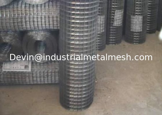 1''Meshx14ga. Pvc Welded Wire Mesh,Welded Mesh supplier