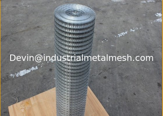 Factory Cheap Stainless Steel Welded Wire Mesh /304 Welded Wire Mesh supplier