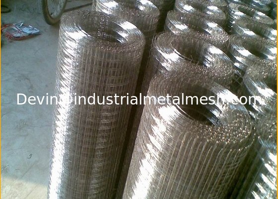 Galvanized Rabbit Cage Wire Galvanized Welded Wire Mesh supplier