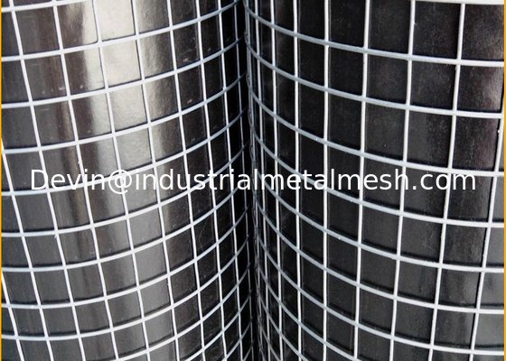Galvanized Rabbit Cage Wire Galvanized Welded Wire Mesh supplier