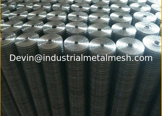 Hot Sale Innovative Product Welded Wire Mesh,Galvanized Welded Wire Mesh Panel supplier